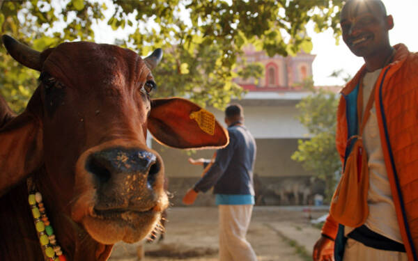 What’s Inside? – ISKCON Govardhan